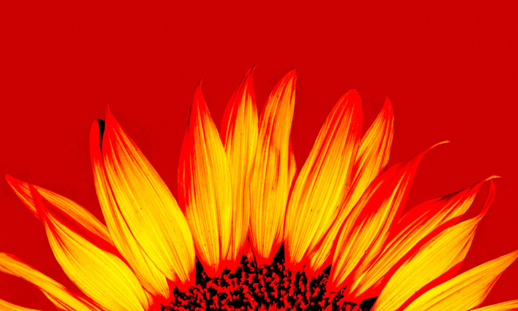 beSonic – © beSonic Records